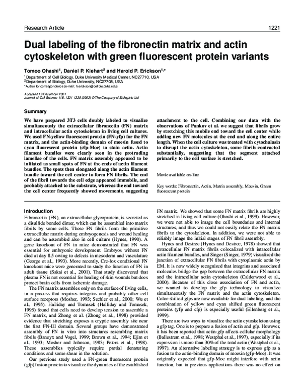 (PDF) Dual labeling of the fibronectin matrix and actin cytoskeleton ...