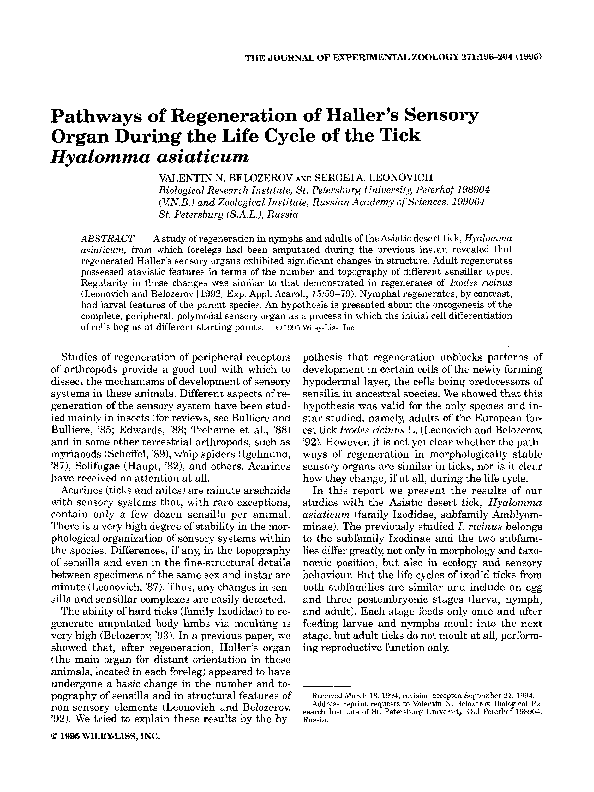 (PDF) Pathways of regeneration of Haller's sensory organ during the ...
