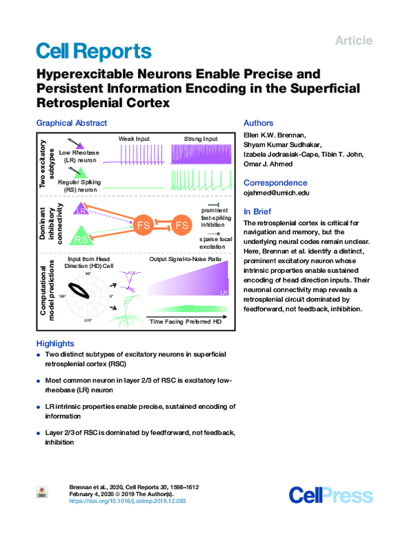(PDF) Hyperexcitable Neurons Enable Precise and Persistent Information Encoding in the ...