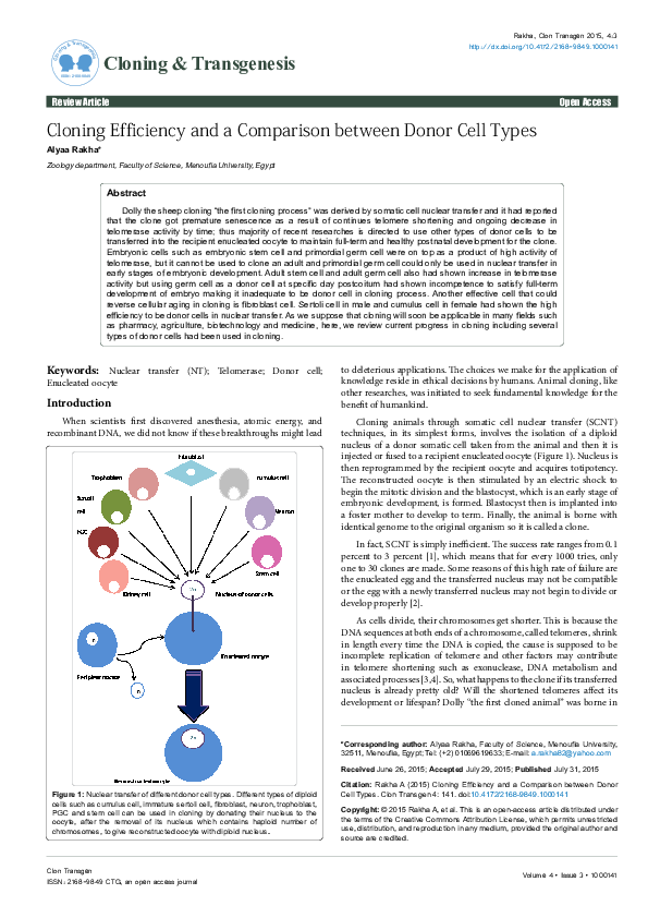(PDF) Cloning Efficiency and a Comparison between Donor Cell Types