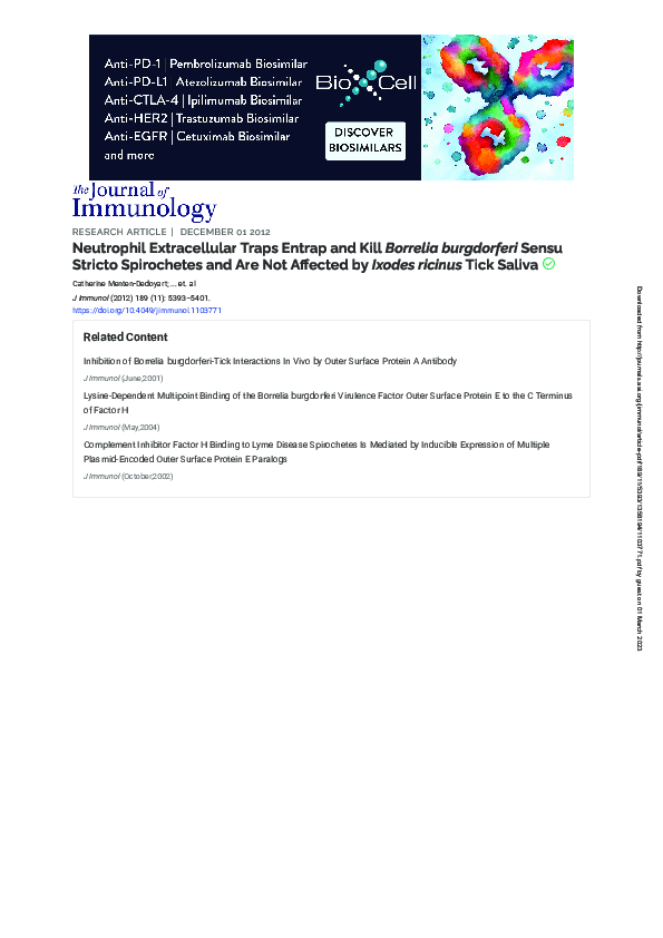 (PDF) Neutrophil Extracellular Traps Entrap and Kill Borrelia ...