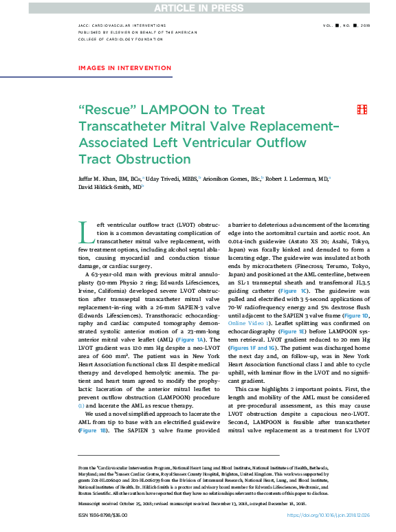 (PDF) “Rescue” LAMPOON to Treat Transcatheter Mitral Valve Replacement ...