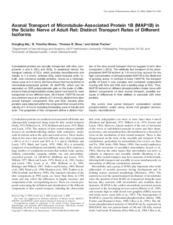 (PDF) Axonal Transport of Microtubule-Associated Protein 1B (MAP1B) in ...
