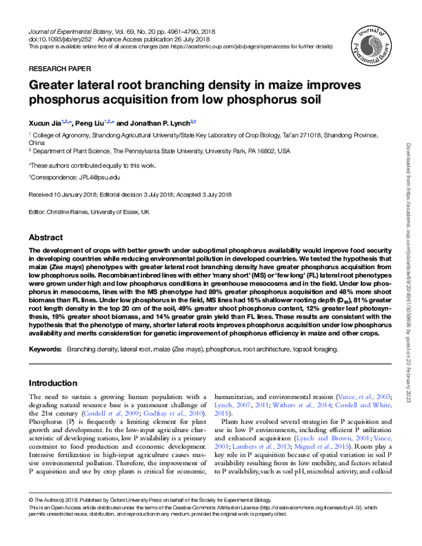 (PDF) Greater lateral root branching density in maize improves ...