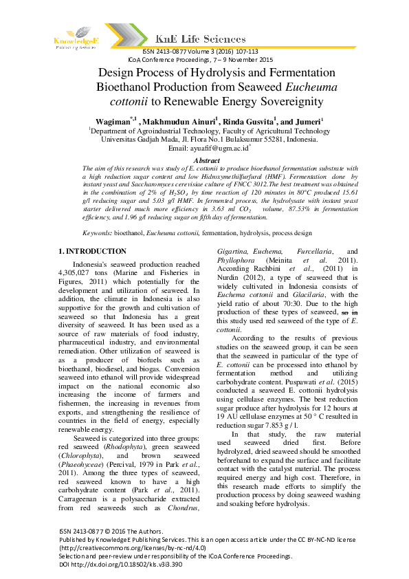 (PDF) Design Process of Hydrolysis and Fermentation Bioethanol ...