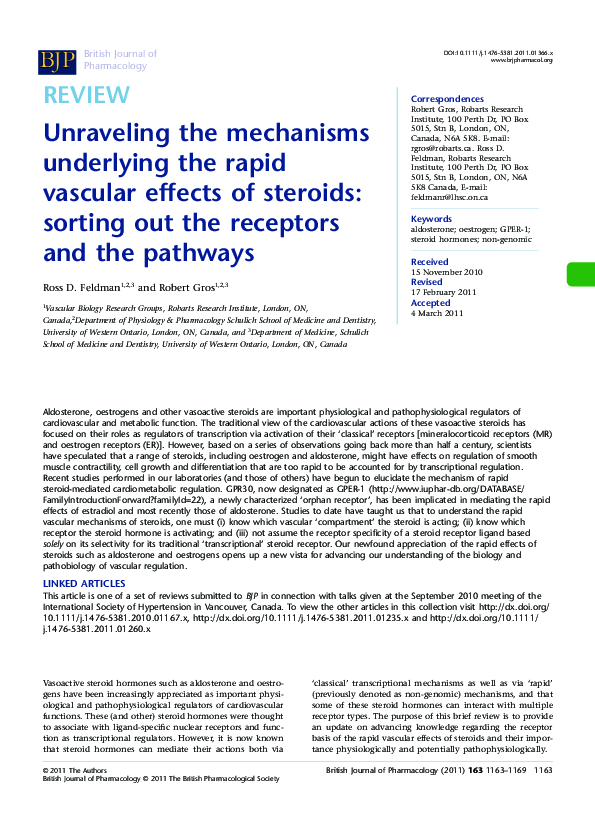 (PDF) Unraveling the mechanisms underlying the rapid vascular effects ...