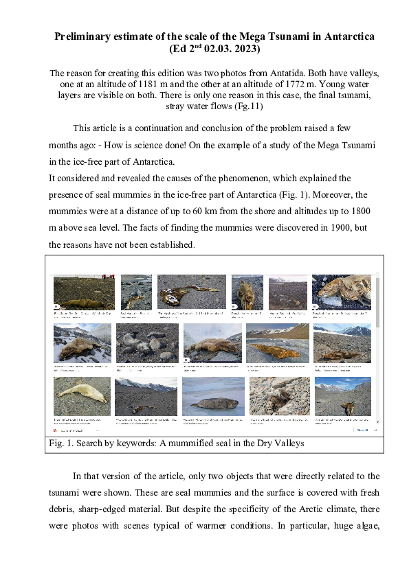 (DOC) Preliminary estimate of the scale of the Mega Tsunami in ...