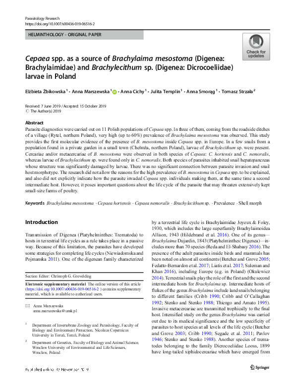 (PDF) Cepaea spp. as a source of Brachylaima mesostoma (Digenea ...