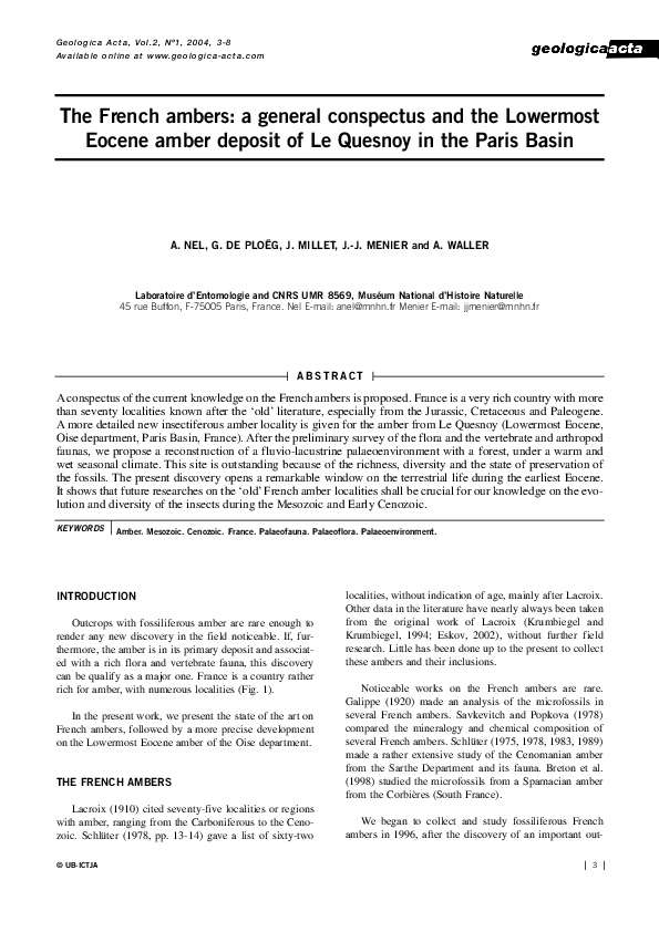 (PDF) The French ambers: a general conspectus and the Lowermost Eocene ...