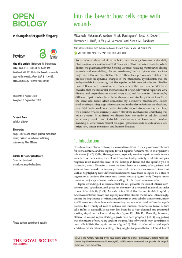 (PDF) Into the breach: how cells cope with wounds