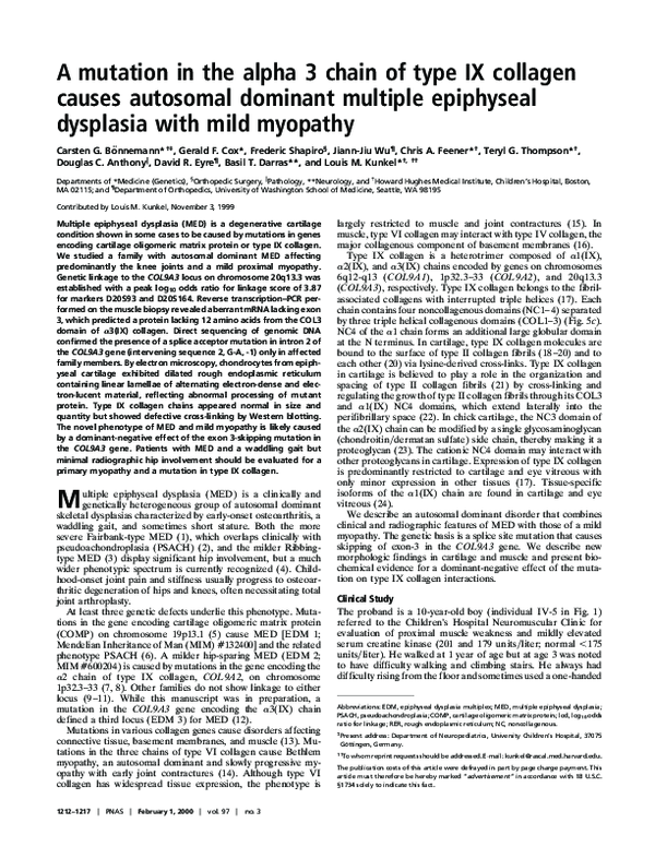 (PDF) A mutation in the alpha 3 chain of type IX collagen causes ...