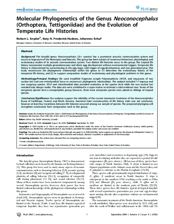 (PDF) Molecular Phylogenetics of the Genus Neoconocephalus (Orthoptera ...
