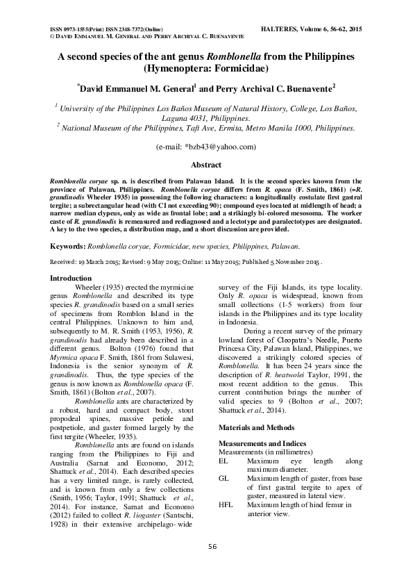 (PDF) A second species of the ant genus Romblonella from the Philippines (Hymenoptera: Formicidae)