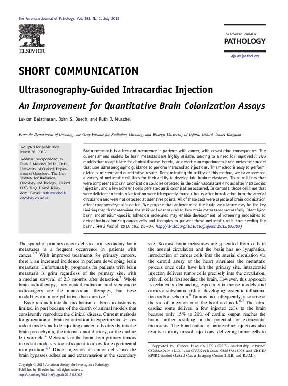 (PDF) Ultrasonography-Guided Intracardiac Injection