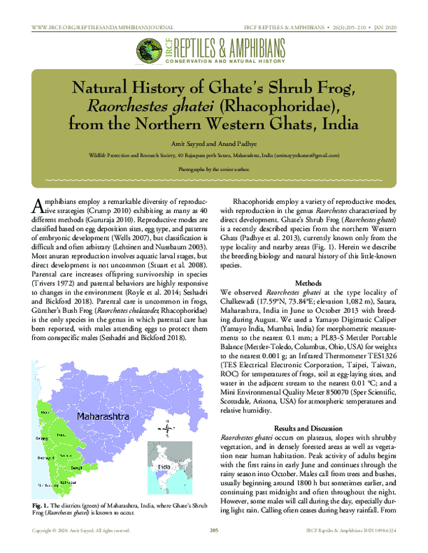 (PDF) Natural history of Ghate's Shrub Frog, Raorchestes ghatei ...