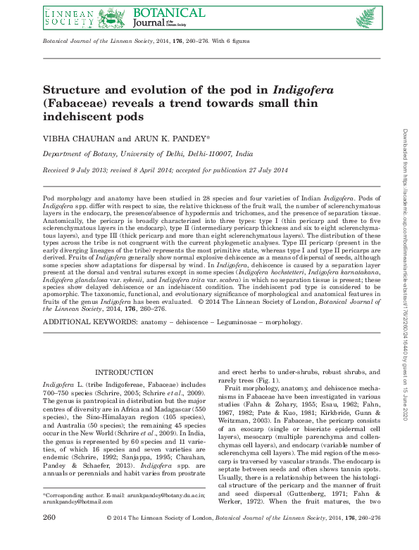 (PDF) Structure and evolution of the pod in Indigofera (Fabaceae ...