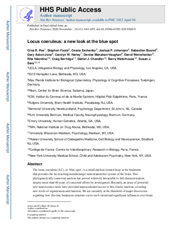 (PDF) Locus coeruleus: a new look at the blue spot