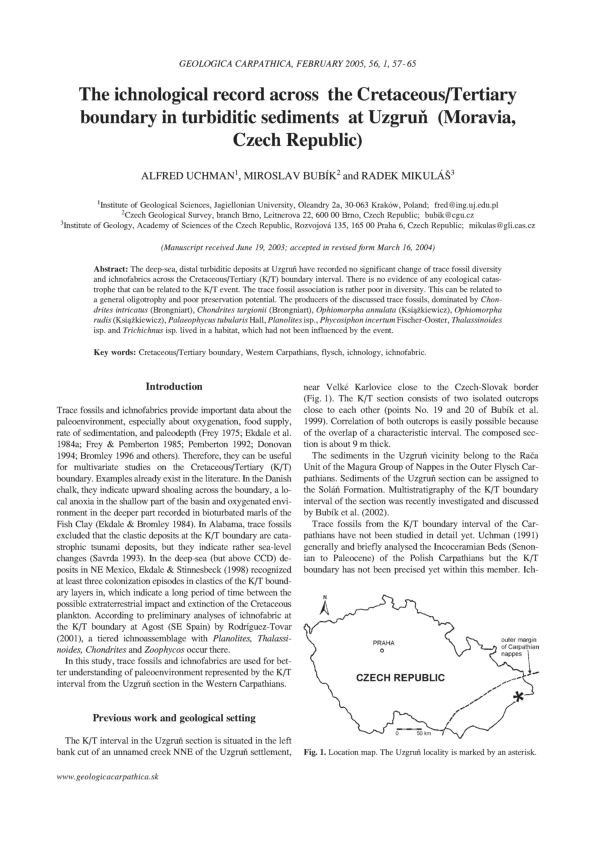 (PDF) The ichnological record across the Cretaceous/Tertiary boundary ...