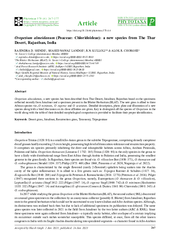 (PDF) Oropetium almeidanum (Poaceae: Chloridoideae): a new species from ...