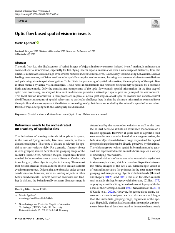 (PDF) Optic flow based spatial vision in insects