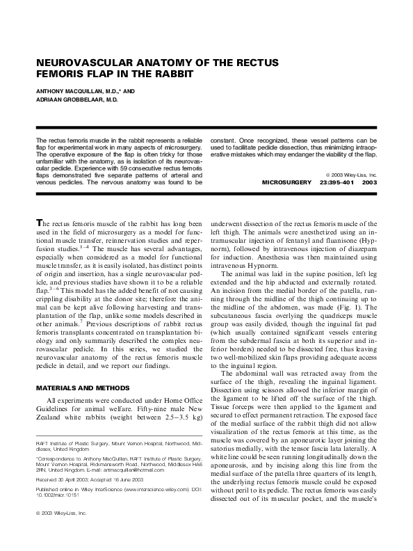 (PDF) Neurovascular anatomy of the rectus femoris flap in the rabbit ...