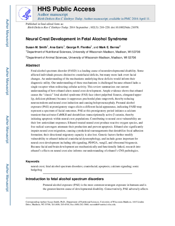 (PDF) Neural crest development in fetal alcohol syndrome