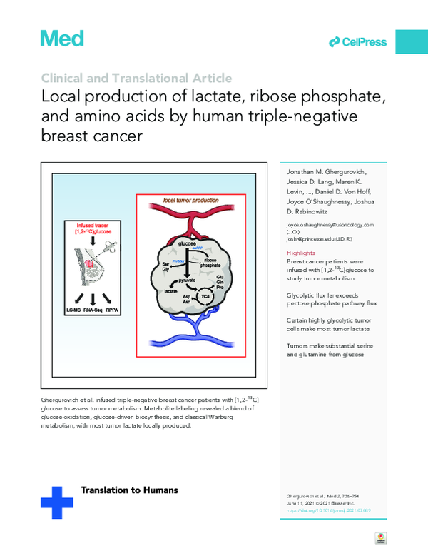 (PDF) Local production of lactate, ribose phosphate, and amino acids by ...