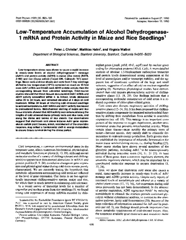 (PDF) Low-Temperature Accumulation of Alcohol Dehydrogenase-1 mRNA and ...