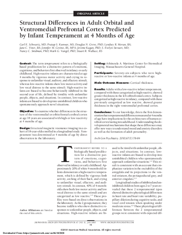 (PDF) Structural Differences in Adult Orbital and Ventromedial ...