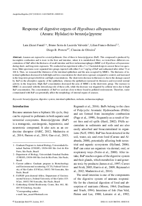 (PDF) Response of digestive organs of Hypsiboas albopunctatus (Anura ...