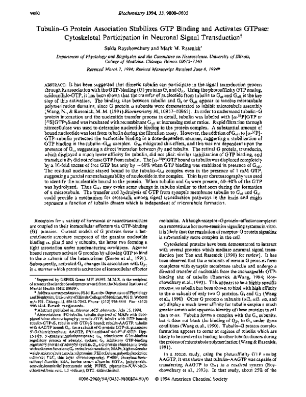 (PDF) Tubulin-G Protein Association Stabilizes GTP Binding and ...
