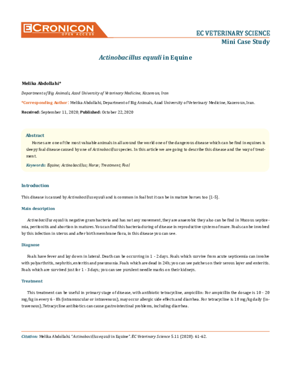 (PDF) Actinobacillus equuli in Equine