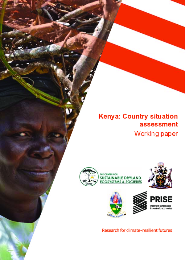 (PDF) Kenya : country situation assessment