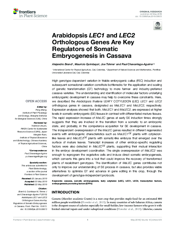 (PDF) Arabidopsis LEC1 and LEC2 Orthologous Genes Are Key Regulators of ...