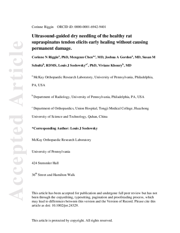 (PDF) Ultrasound‐Guided Dry Needling of the Healthy Rat Supraspinatus ...