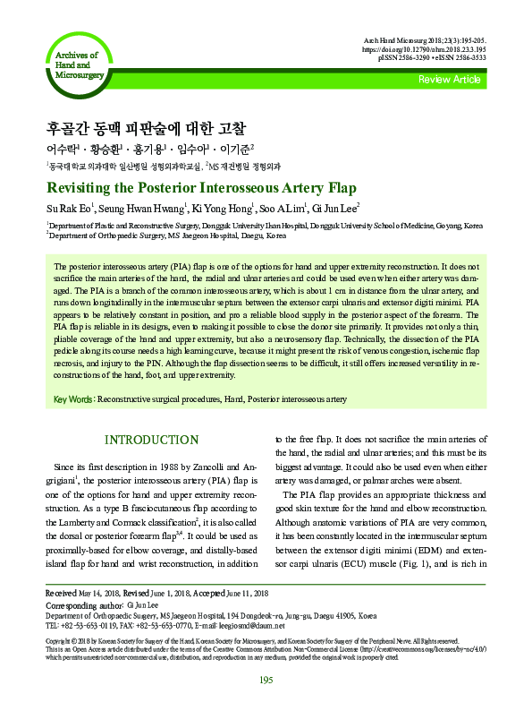 Pdf Revisiting The Posterior Interosseous Artery Flap