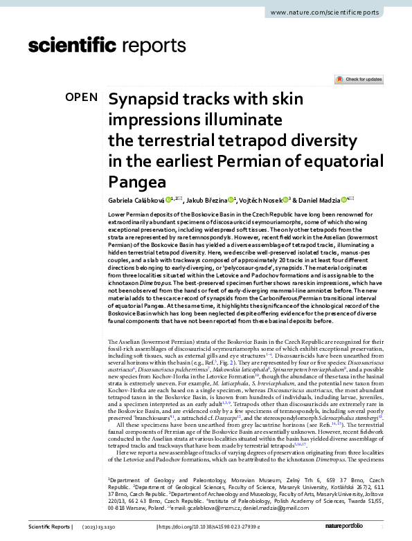 (PDF) Synapsid tracks with skin impressions illuminate the terrestrial ...