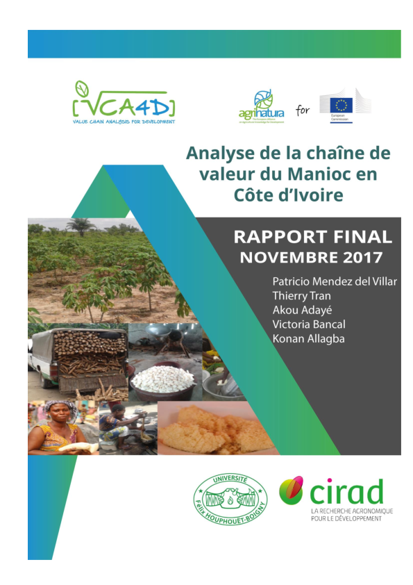 (PDF) Analyse de la chaîne de valeur Manioc en Côte d'Ivoire. Rapport ...