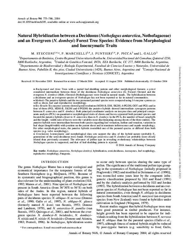 (PDF) Natural Hybridization between a Deciduous (Nothofagus antarctica ...