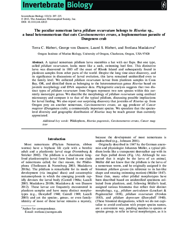 (PDF) The peculiar nemertean larvapilidium recurvatumbelongs ...