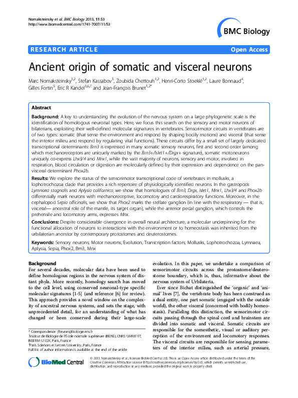 (PDF) Ancient origin of somatic and visceral neurons
