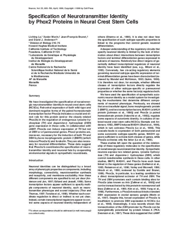 (PDF) Phox2 Proteins Specify Neurotransmitter Identity