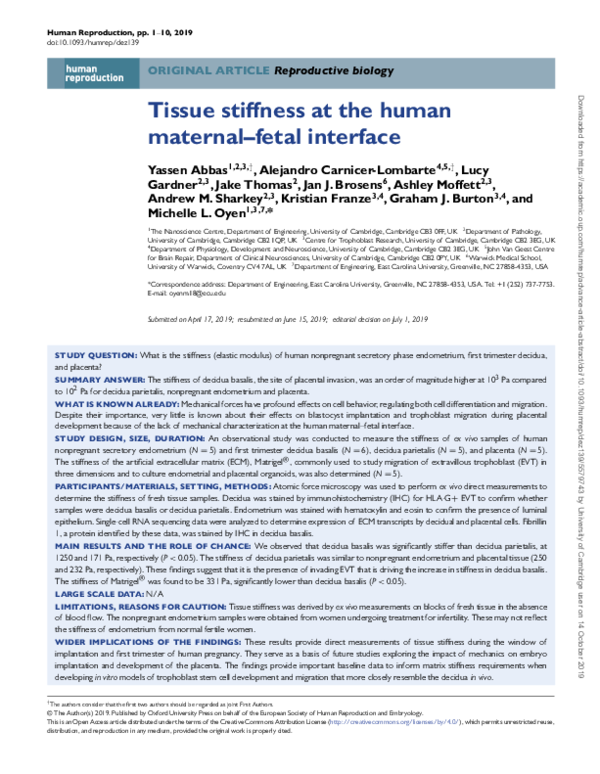 (PDF) Tissue stiffness at the human maternal–fetal interface