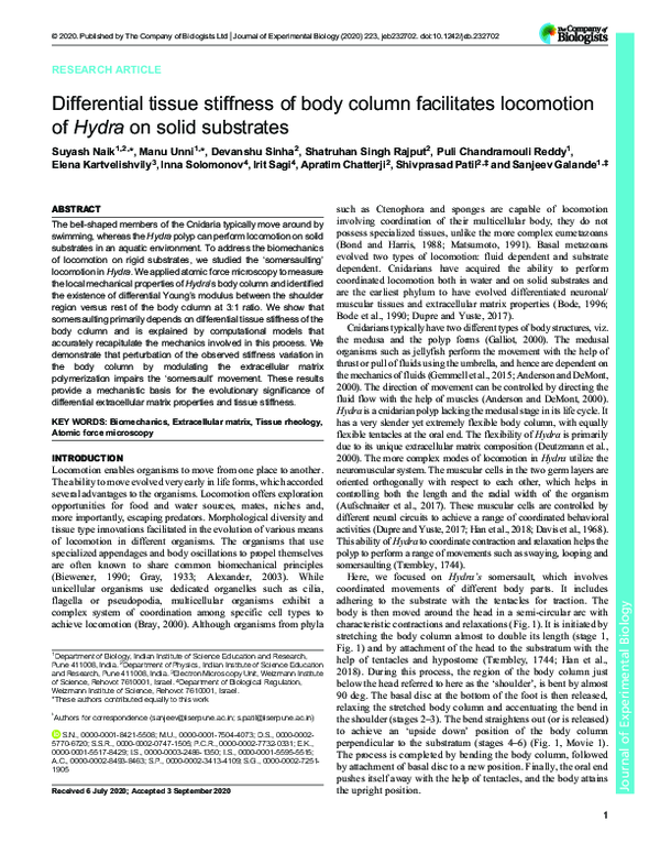 (PDF) Differential tissue stiffness of body column facilitates ...