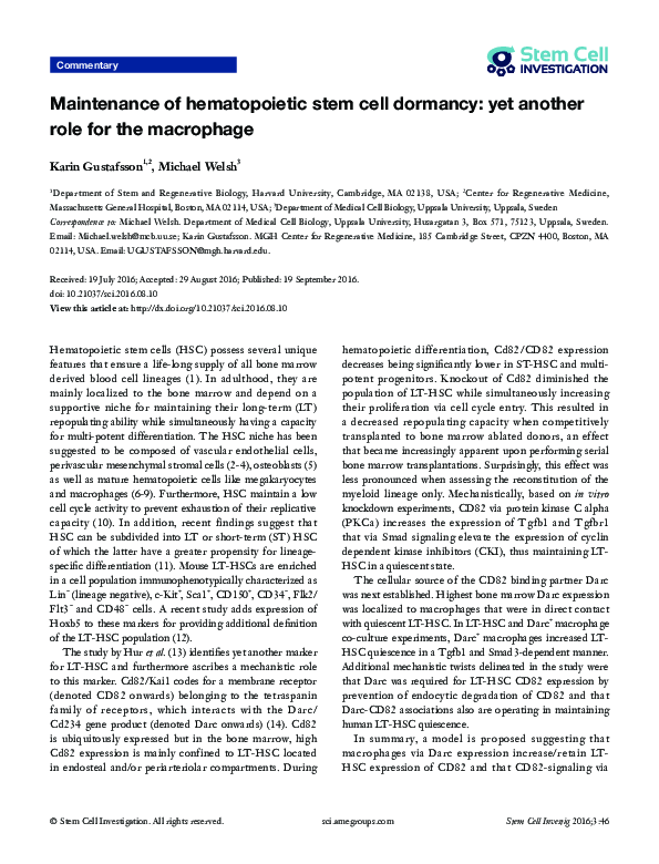 (PDF) Maintenance of hematopoietic stem cell dormancy: yet another role ...