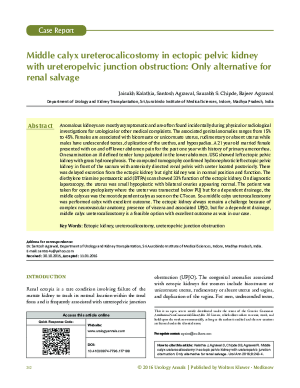 (PDF) Middle calyx ureterocalicostomy in ectopic pelvic kidney with ...