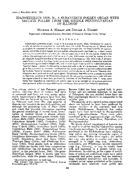 (PDF) Idanothekion Gen. N., a Synangiate Pollen Organ with Saccate ...
