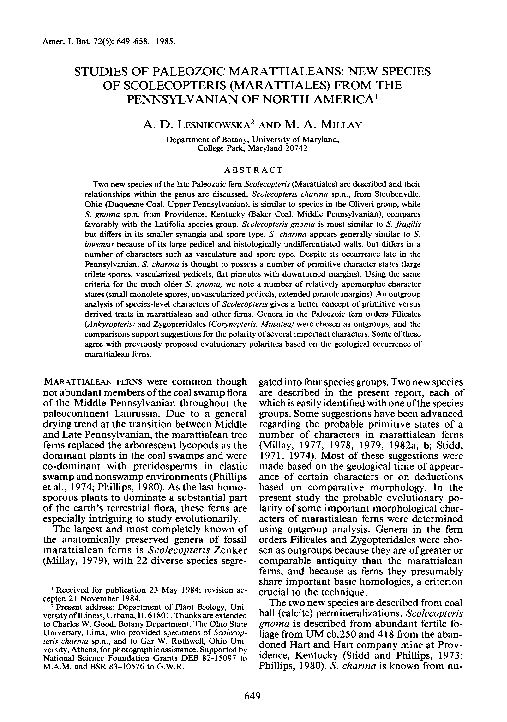 (PDF) Studies of Paleozoic Marattialeans: New Species of Scolecopteris ...