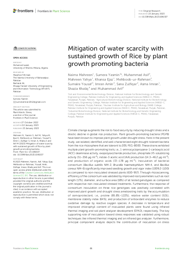 (PDF) Mitigation of water scarcity with sustained growth of Rice by plant growth promoting bacteria