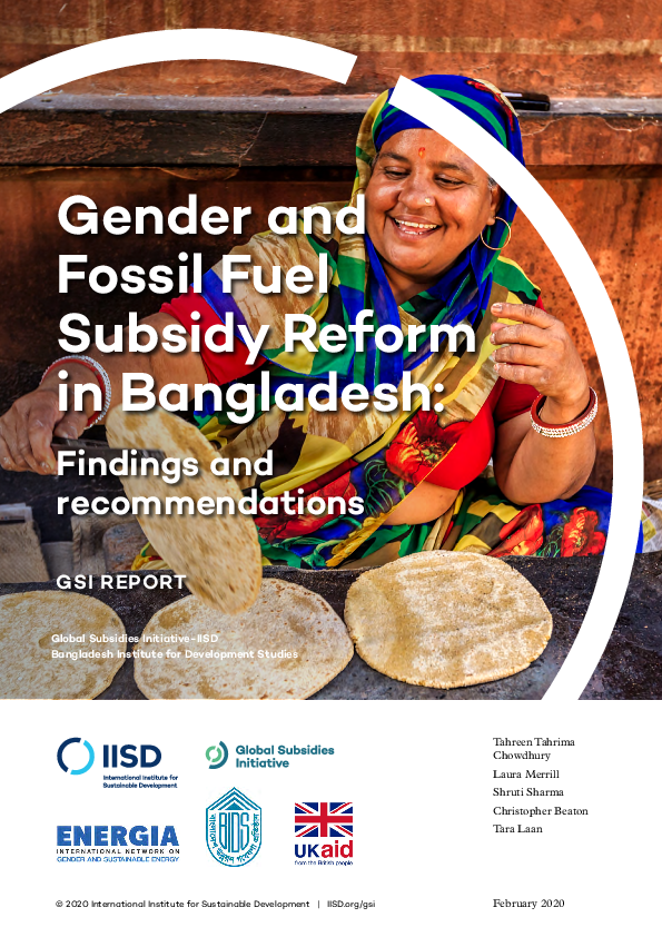 (PDF) Gender and Fossil Fuel Subsidy Reform in Bangladesh: Findings and recommendations ...